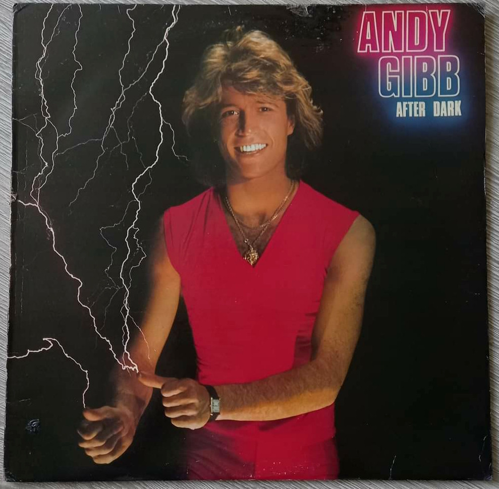 Andy Gibb EX Bee Gees - After Dark - 1980. (LP). 12. Vinyl. Пластинка ...