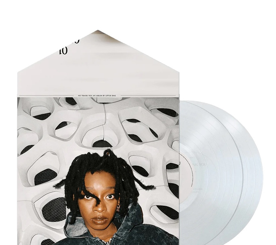 Little Simz - No Thank You (2023) (2xLP) | Виниловые пластинки на Vinyl ...