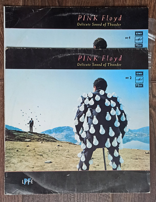 Pink Floyd - "Delicate Sound of Thunder" 2LP | Vinyl.com.ua