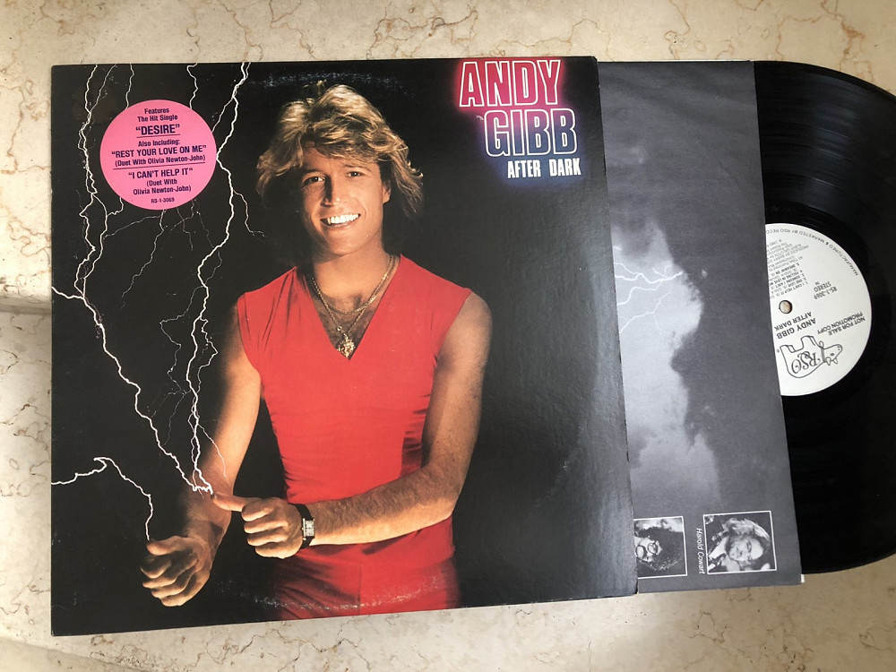 Andy Gibb ‎– After Dark ( USA ) LP Promo | Vinyl.com.ua