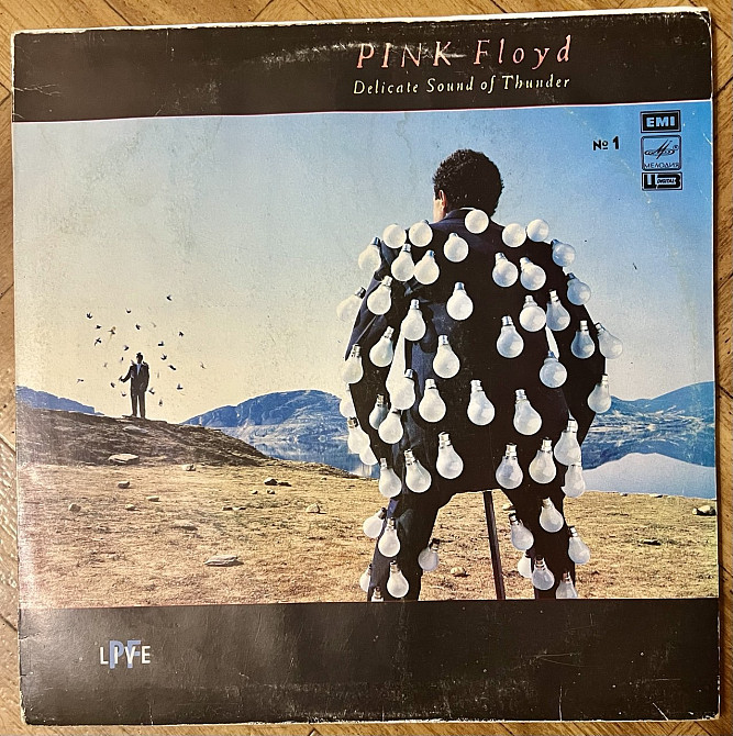 Pink Floyd – Delicate Sound Of Thunder №1 | Vinyl.com.ua