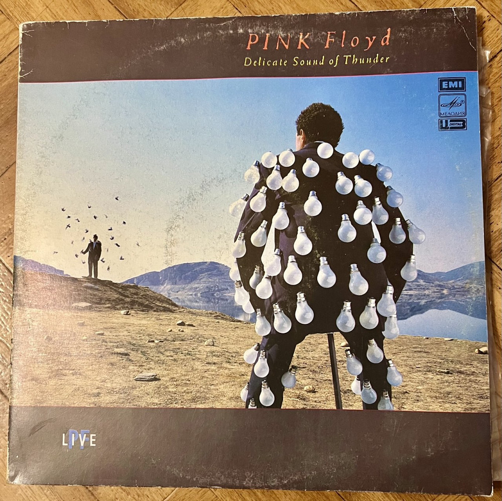 Pink Floyd – Delicate Sound Of Thunder | Vinyl.com.ua